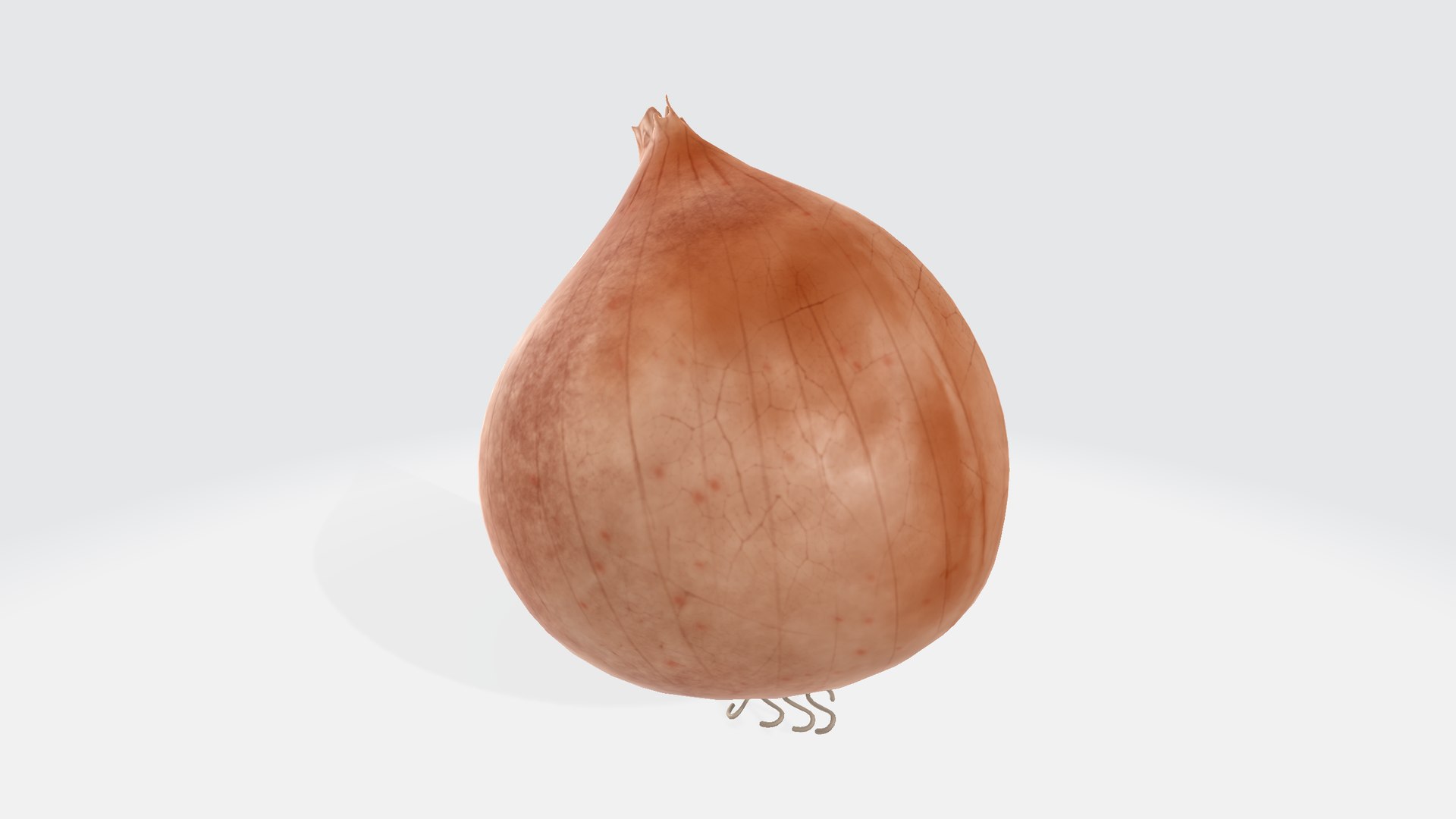 3D Onion - TurboSquid 2347343