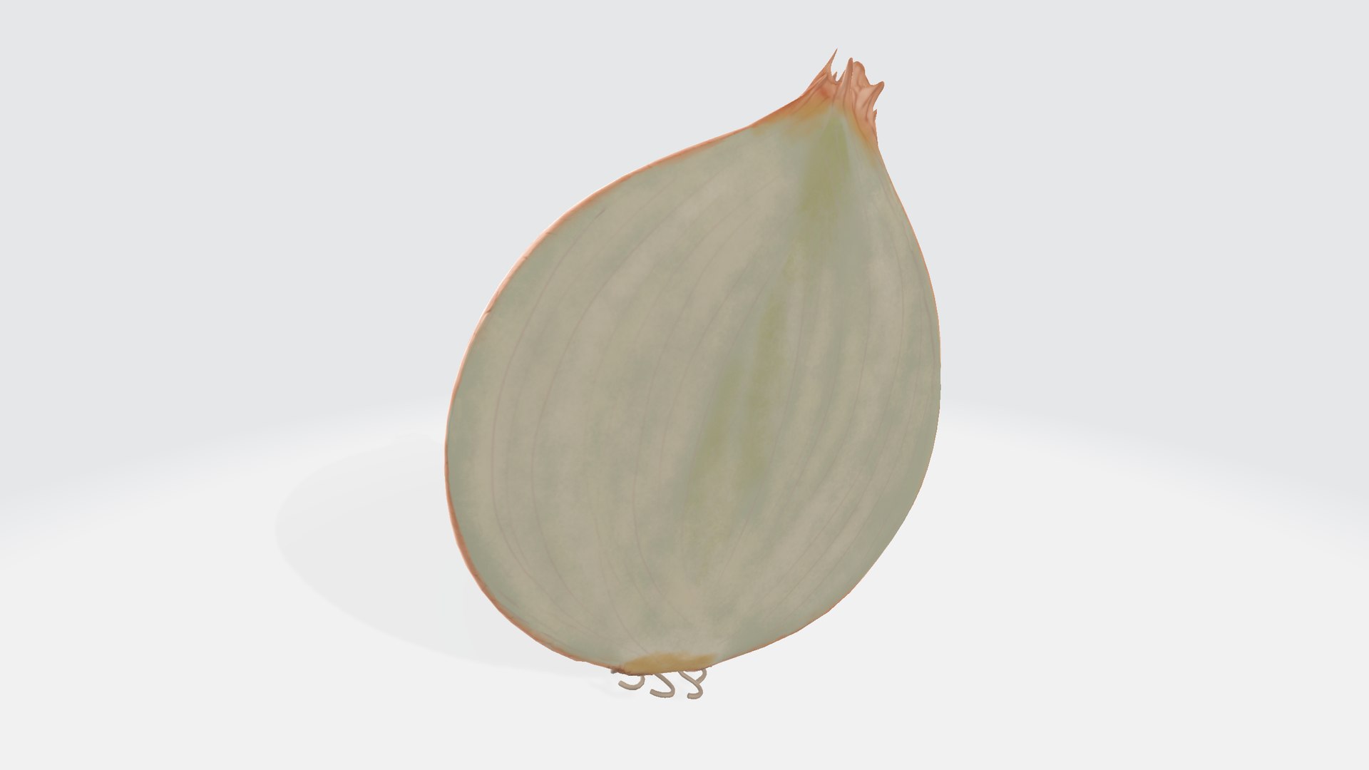 3D Onion - TurboSquid 2347343