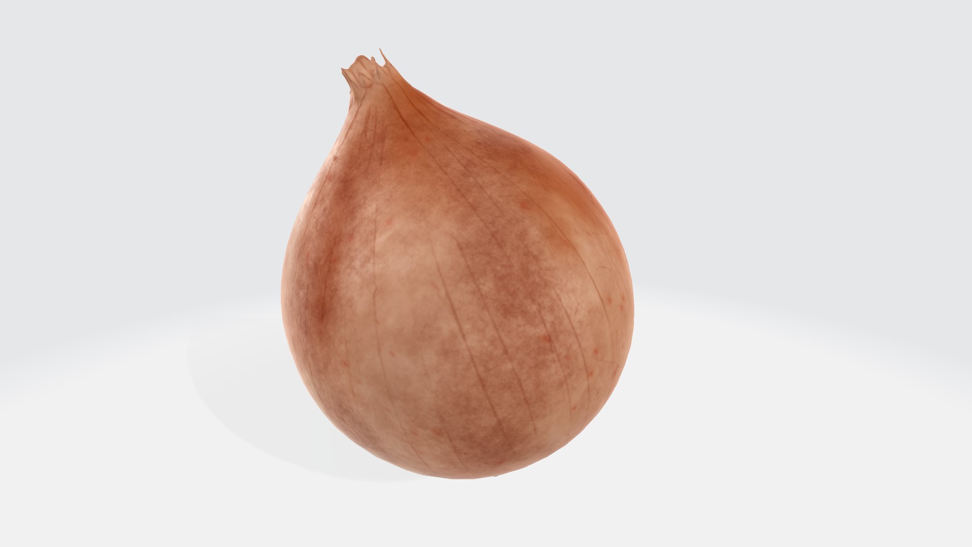 3D Onion - TurboSquid 2347343