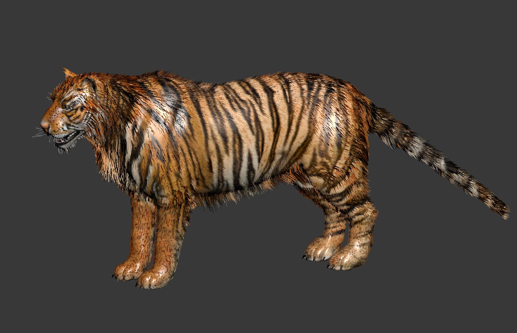 Tiger Fur Cat 3d Max