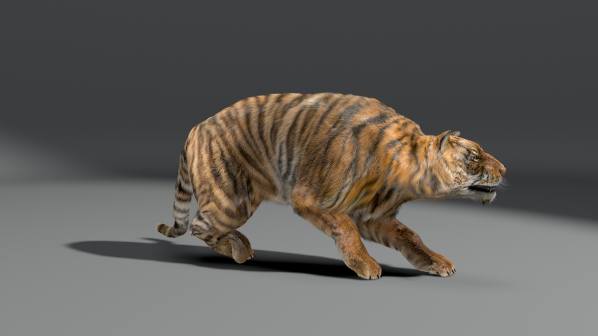Tiger Fur Cat 3d Max