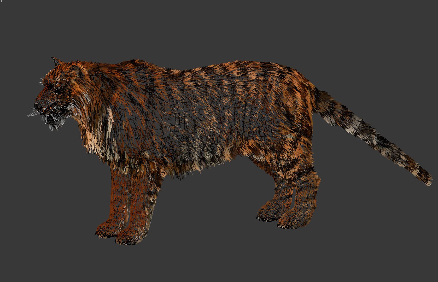 Tiger Fur Cat 3d Max