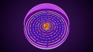 Animated Atom 3D Models for Download | TurboSquid