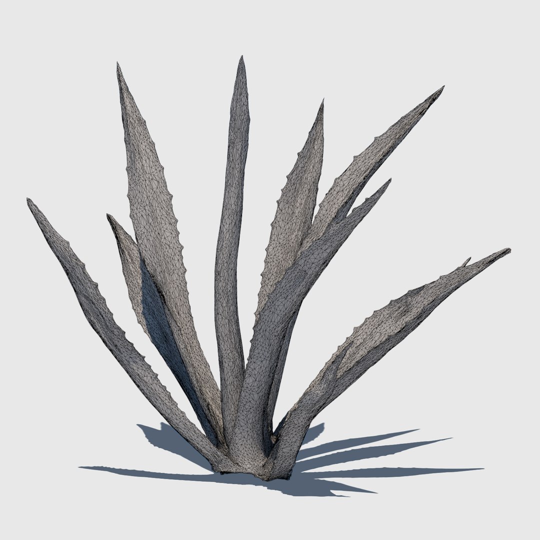 3D reality capture - TurboSquid 1173896