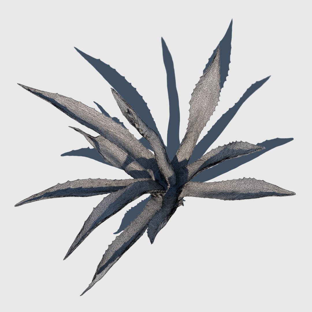 3D reality capture - TurboSquid 1173896