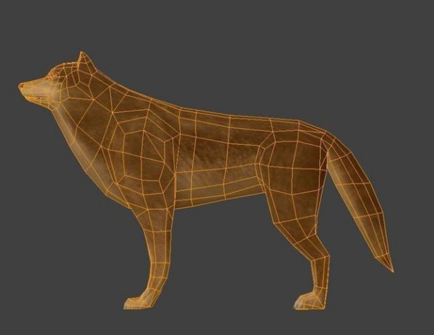 3D Rigged Wolf Model - TurboSquid 1271143