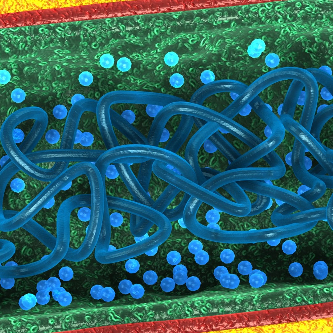 Bacterial Cell 3d Model