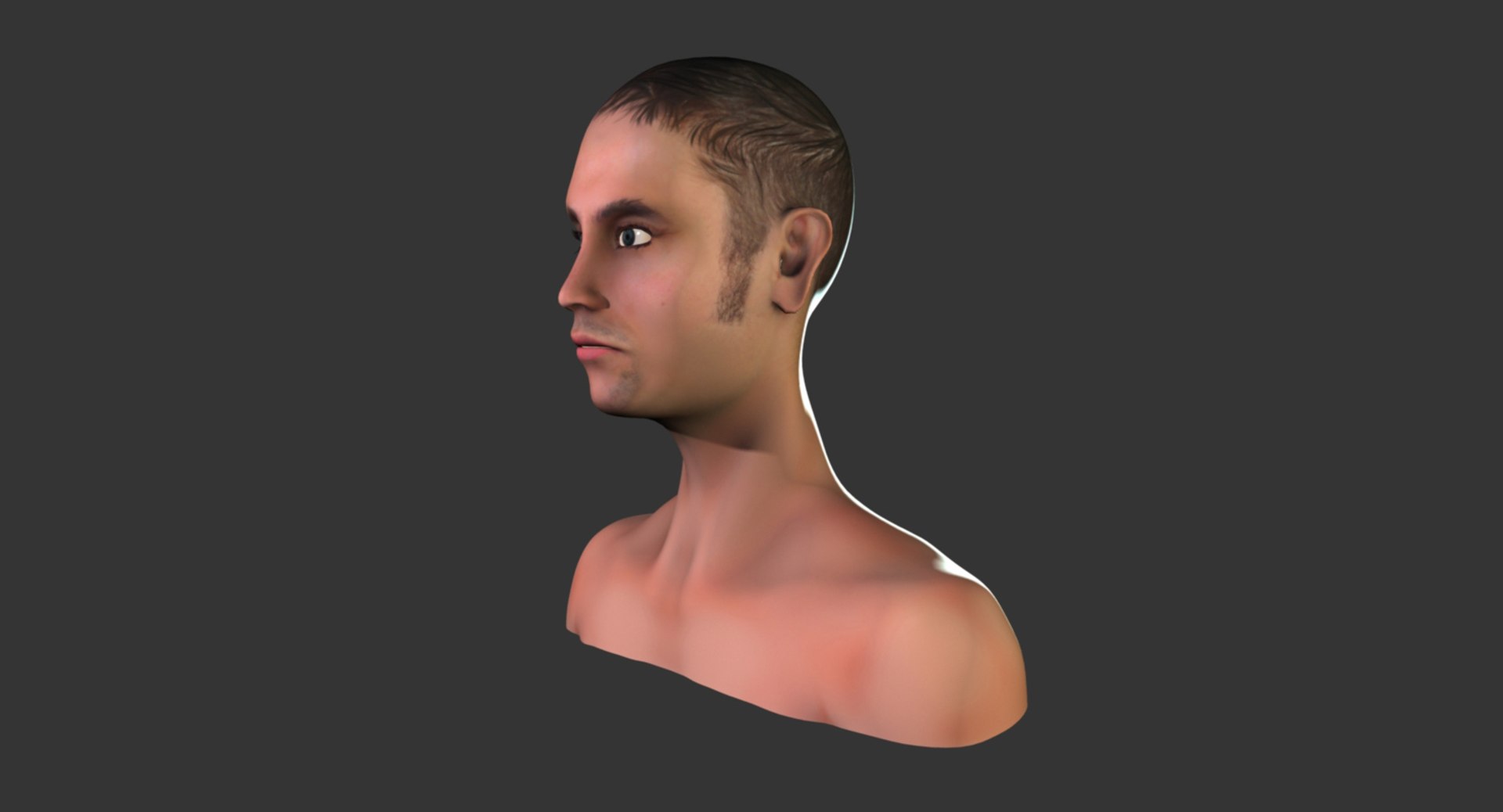 3d male head model