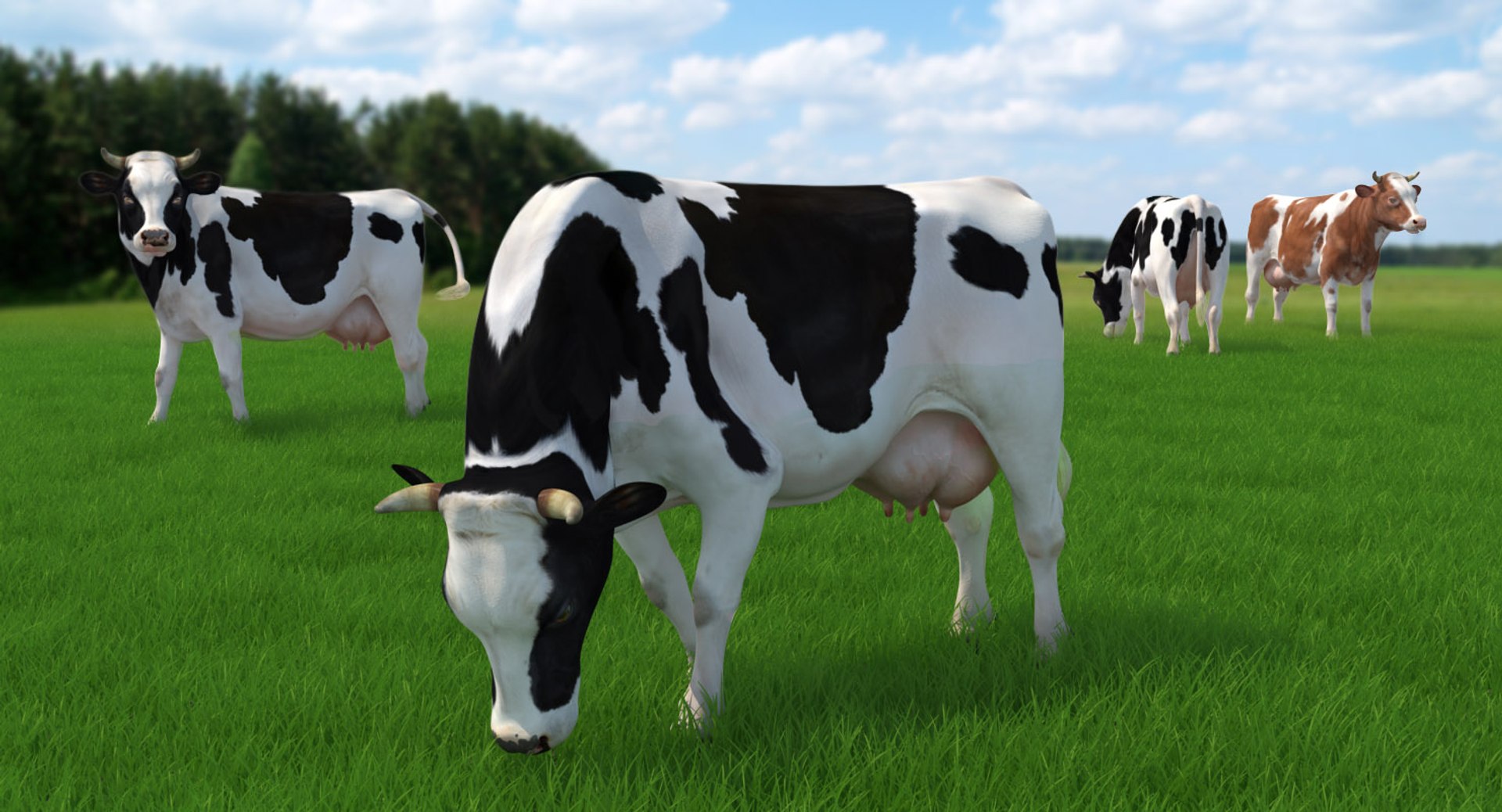 Dairy Cow Eating Pose 3D - TurboSquid 1249214