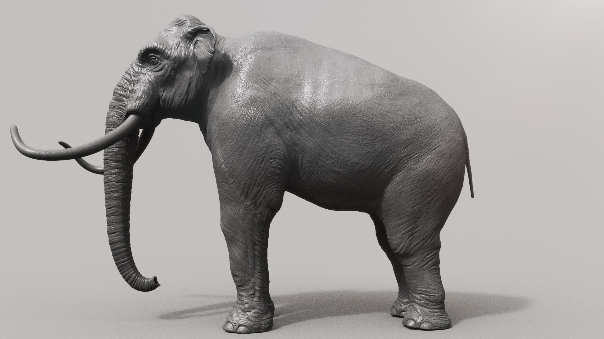 mammoth tusks 3d obj