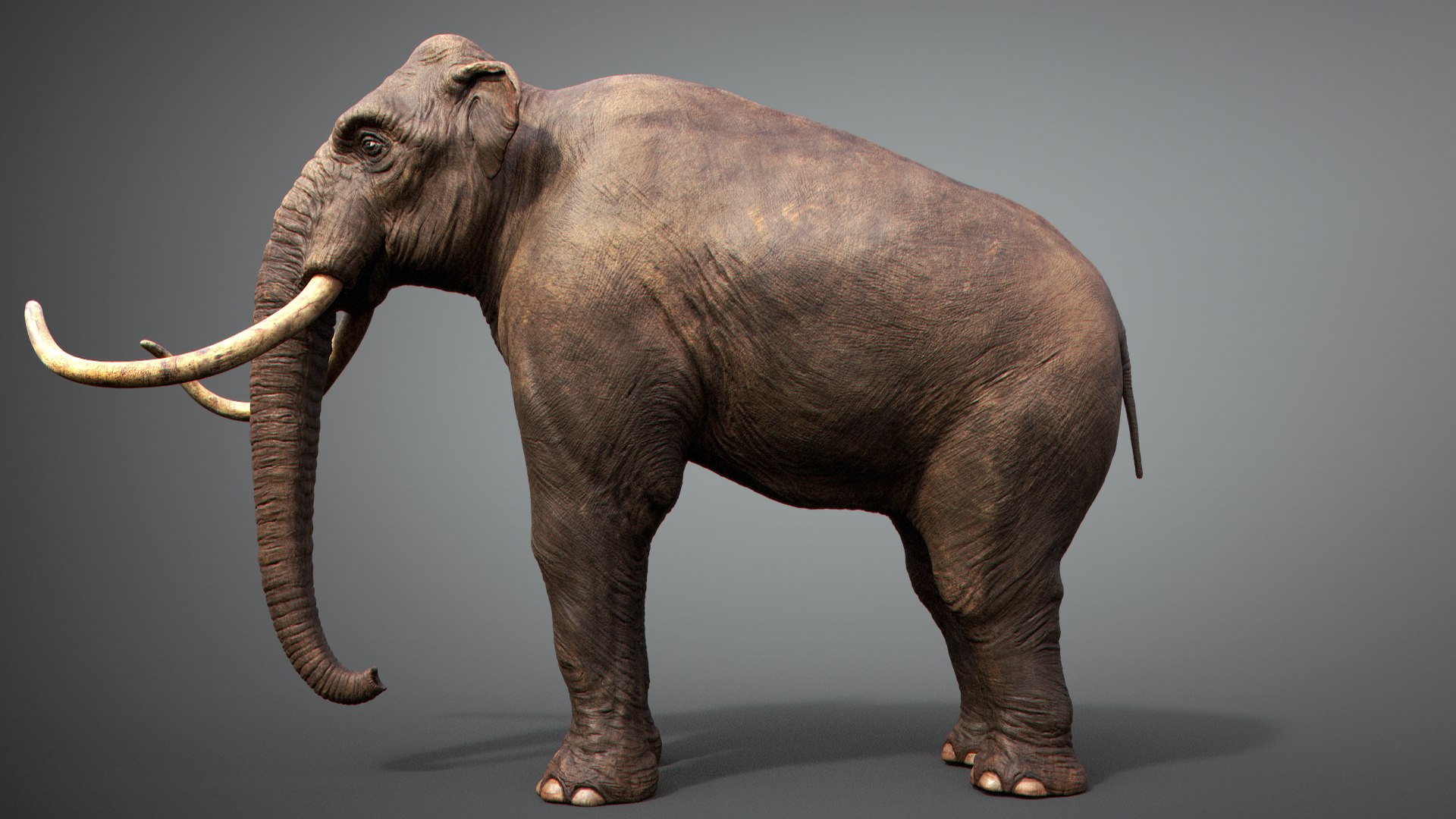 mammoth tusks 3d obj
