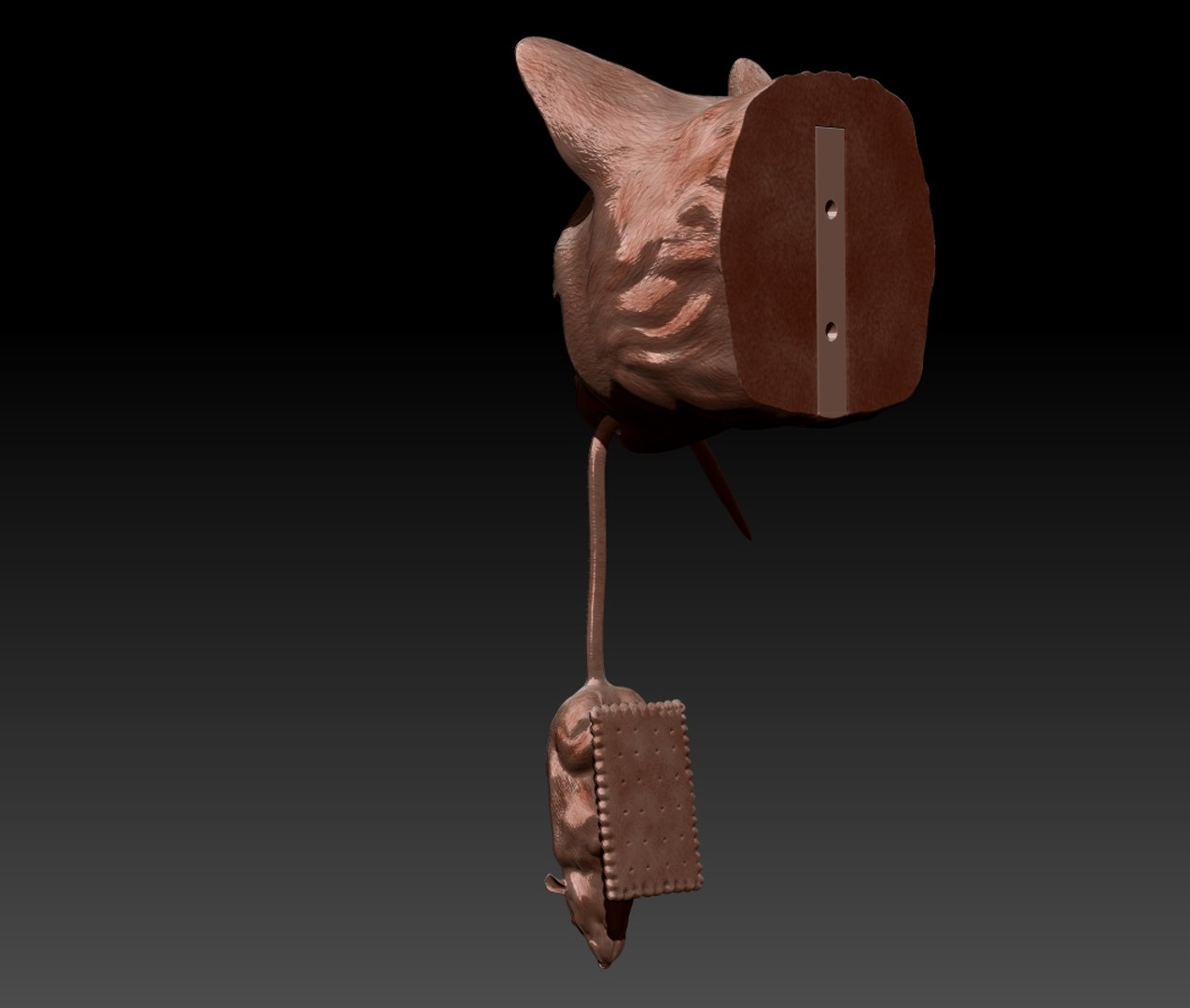 Cat Door Knocker Model - TurboSquid 2054039