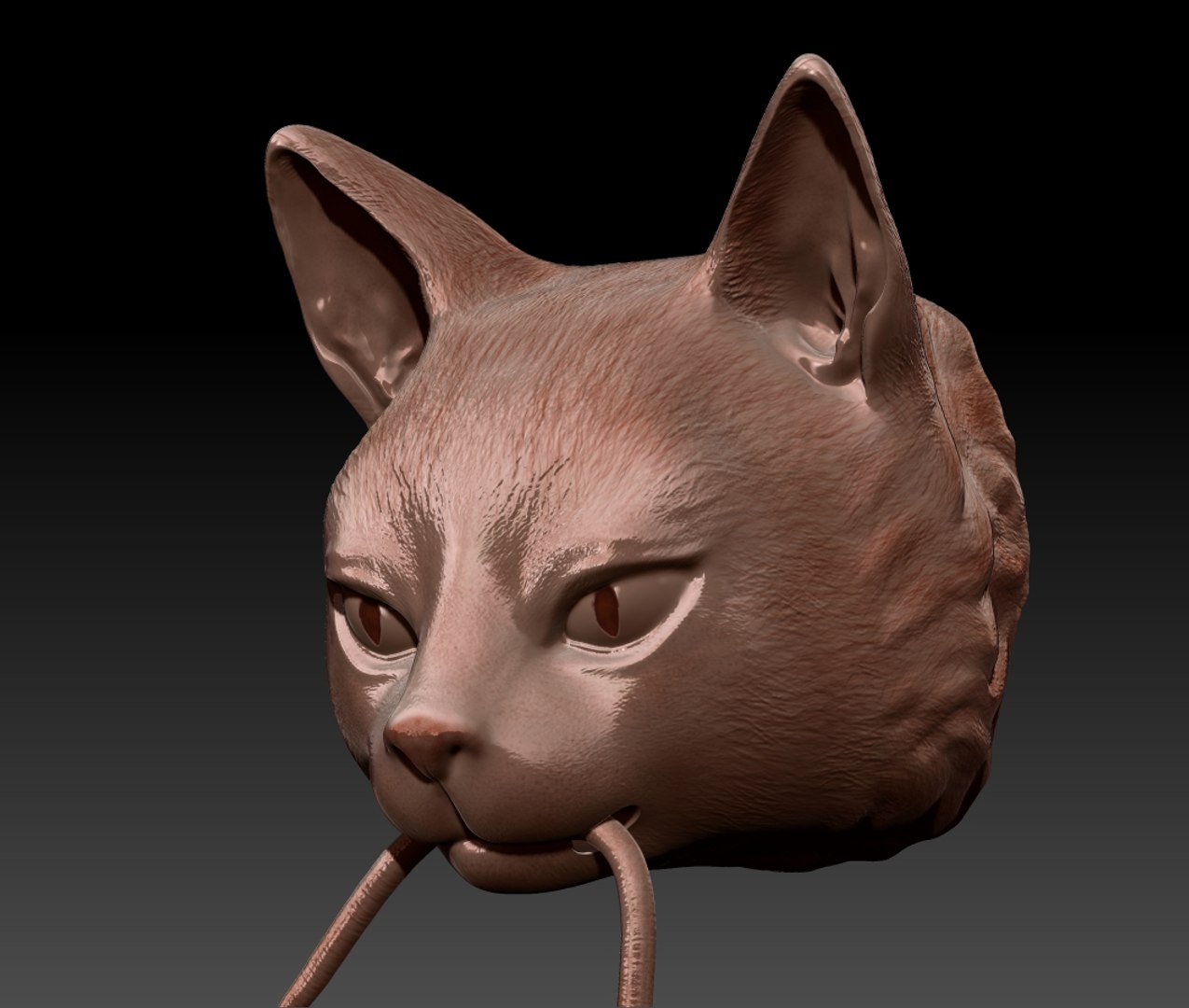 Cat Door Knocker Model - TurboSquid 2054039