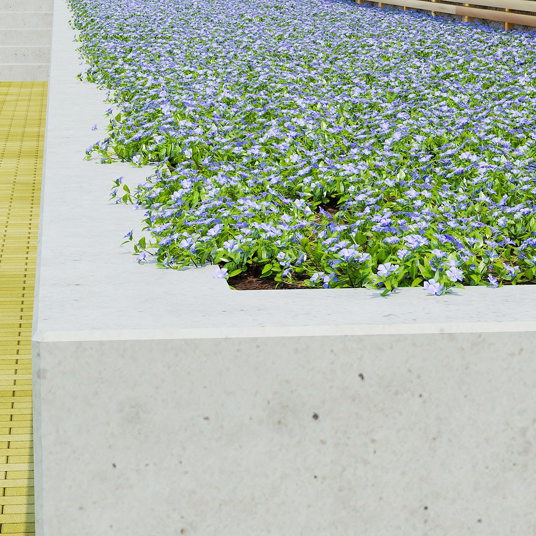 Vinca Minor Flower 3D Model - TurboSquid 2295287