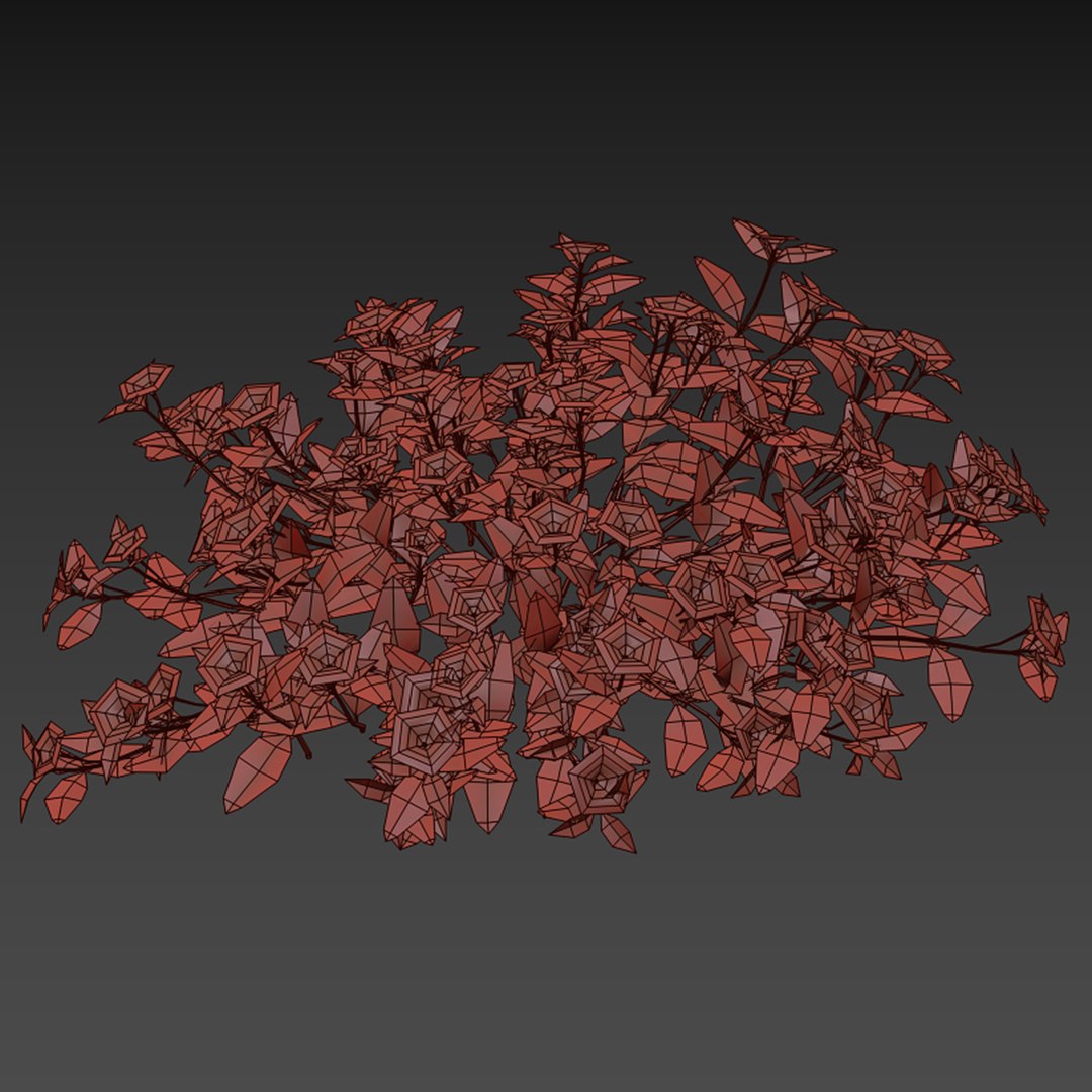 Vinca Minor Flower 3D Model - TurboSquid 2295287