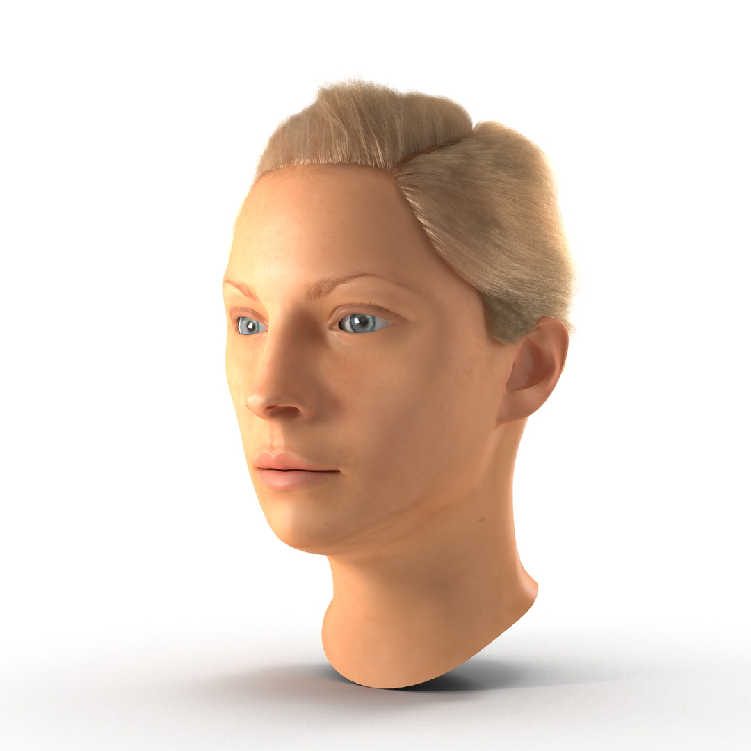 3d Female Caucasian Head