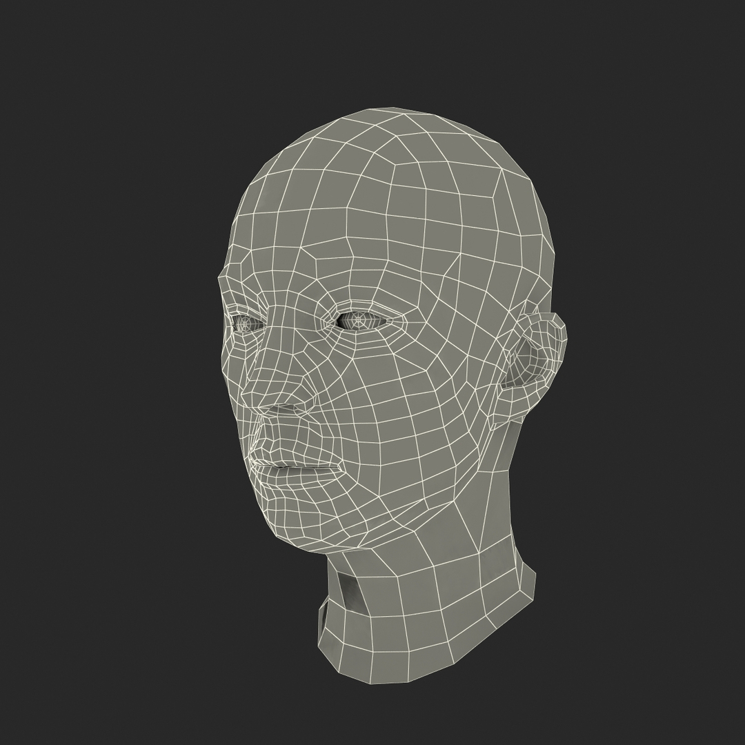 3d Female Caucasian Head