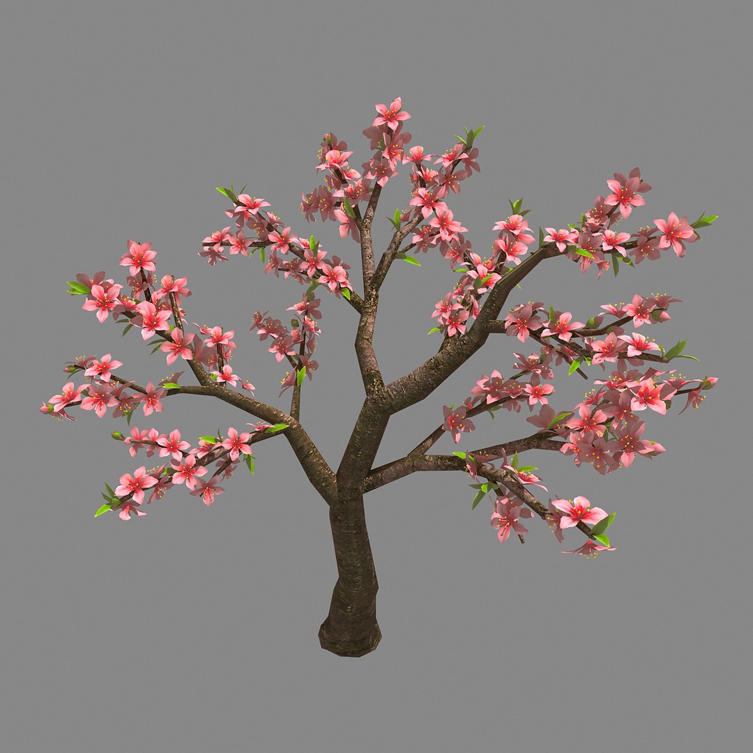 3D trees - peach 28 - TurboSquid 1449261