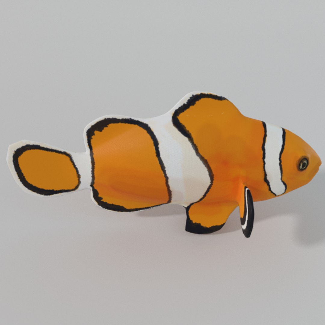 3D Fish Clown Clownf - TurboSquid 1316766