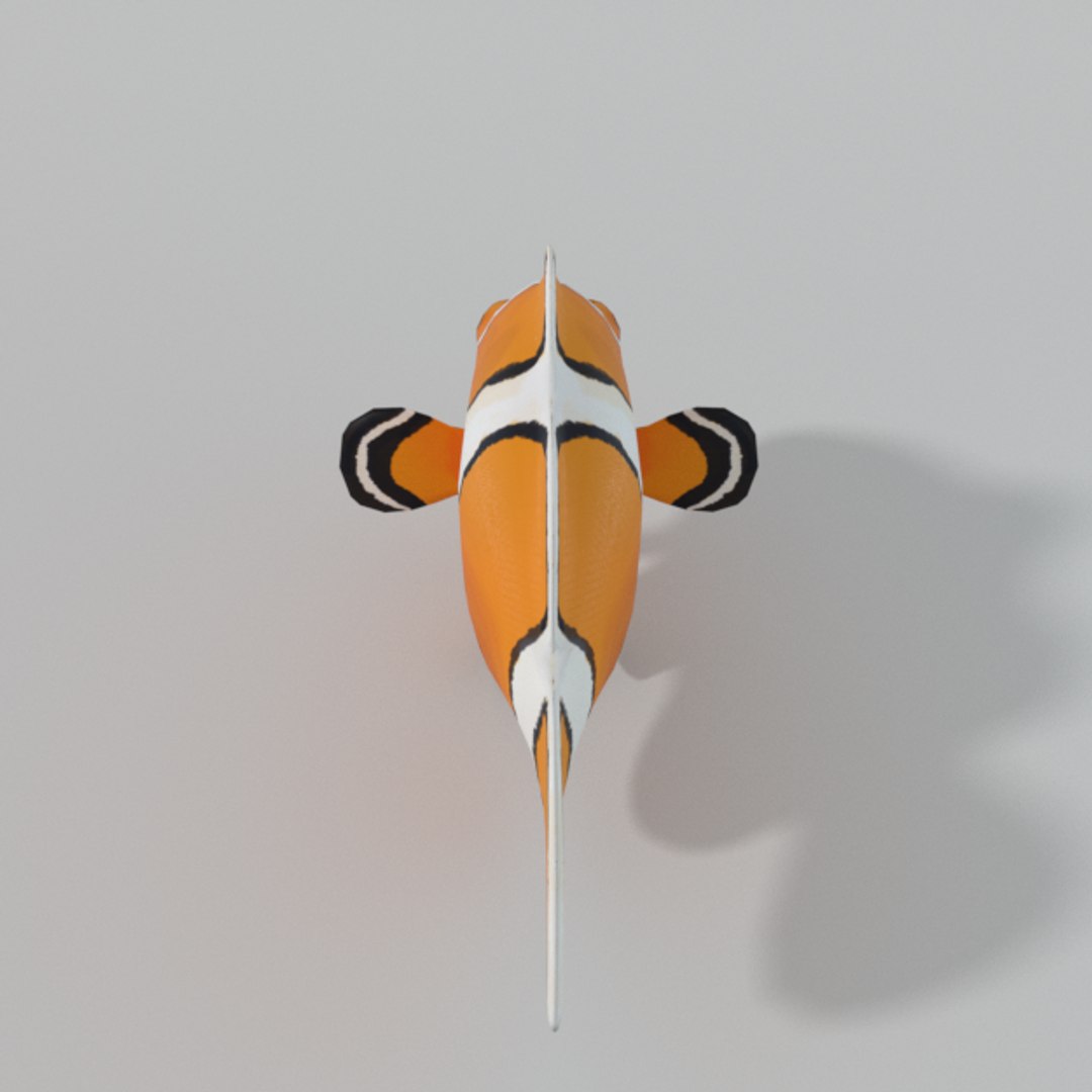 3D Fish Clown Clownf - TurboSquid 1316766