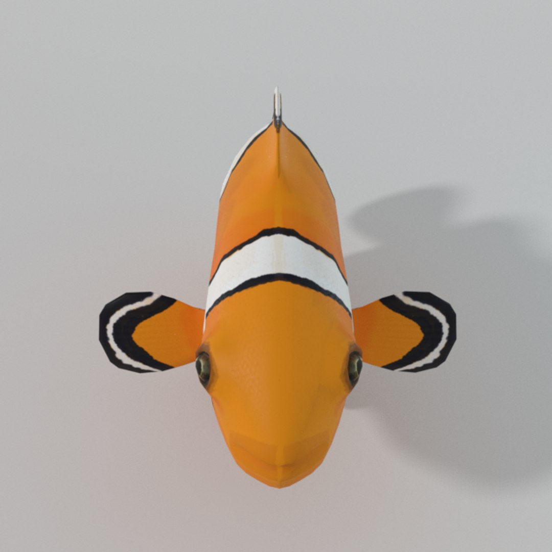 3D Fish Clown Clownf - TurboSquid 1316766