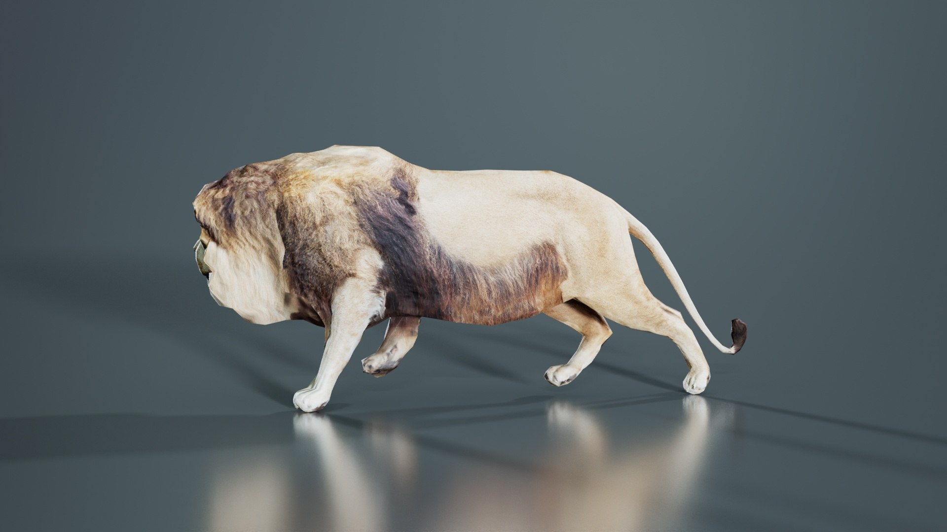 3D Lion Remastered - TurboSquid 2359815