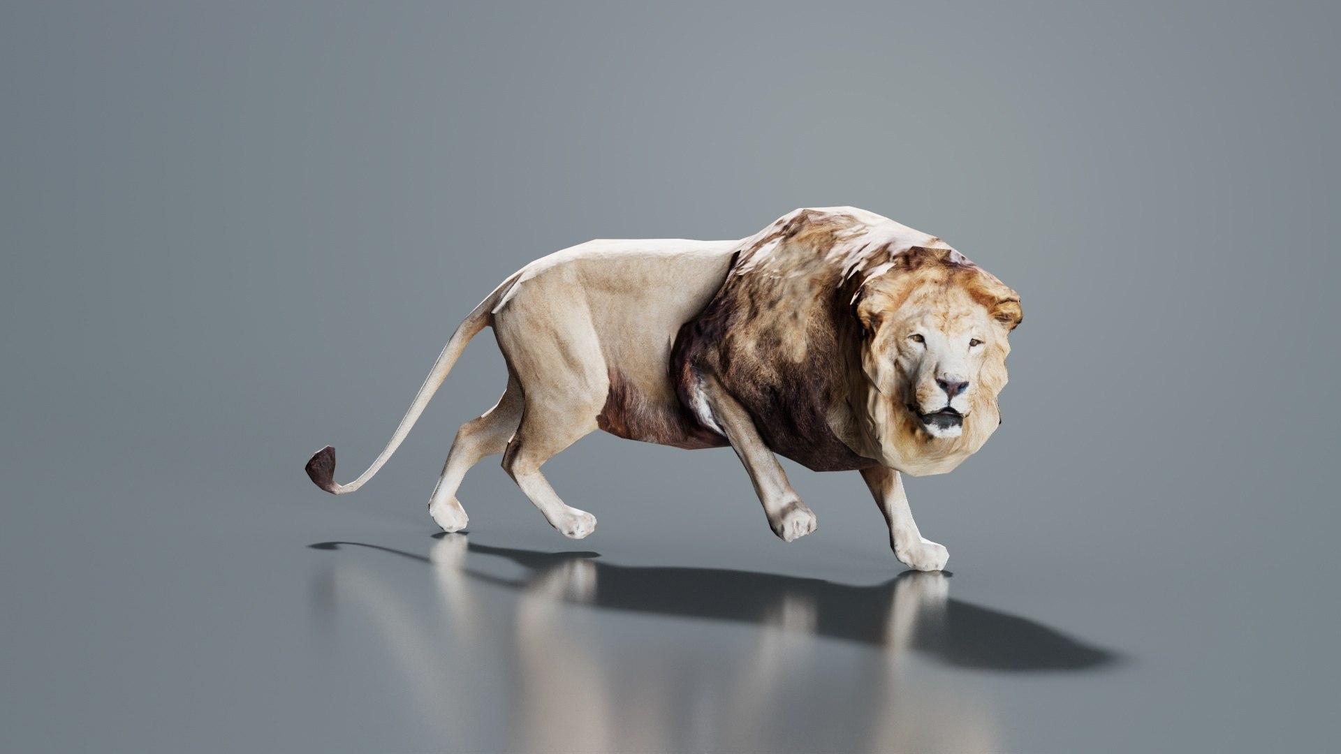 3D Lion Remastered - TurboSquid 2359815