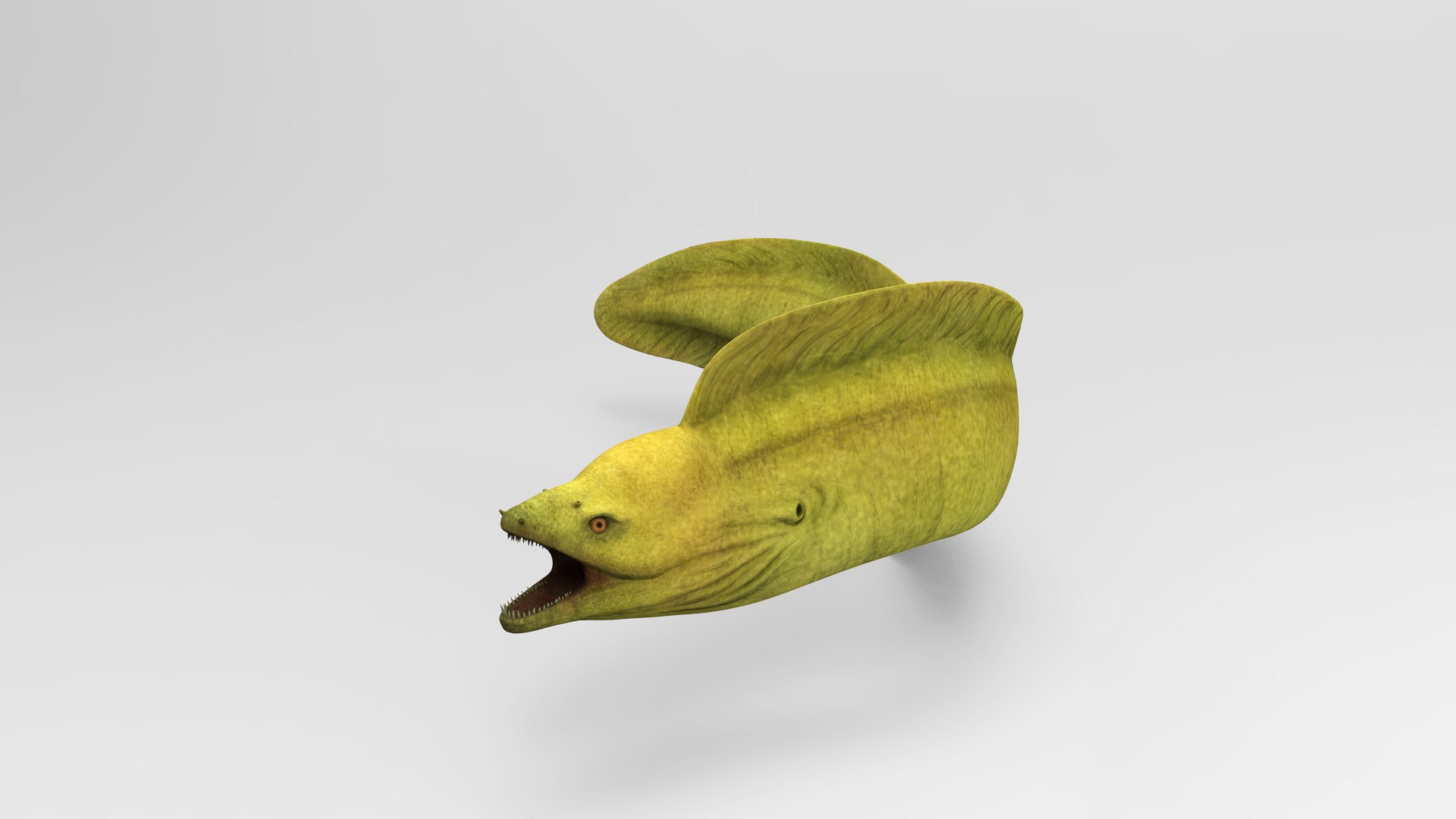 3d Eel Green Model