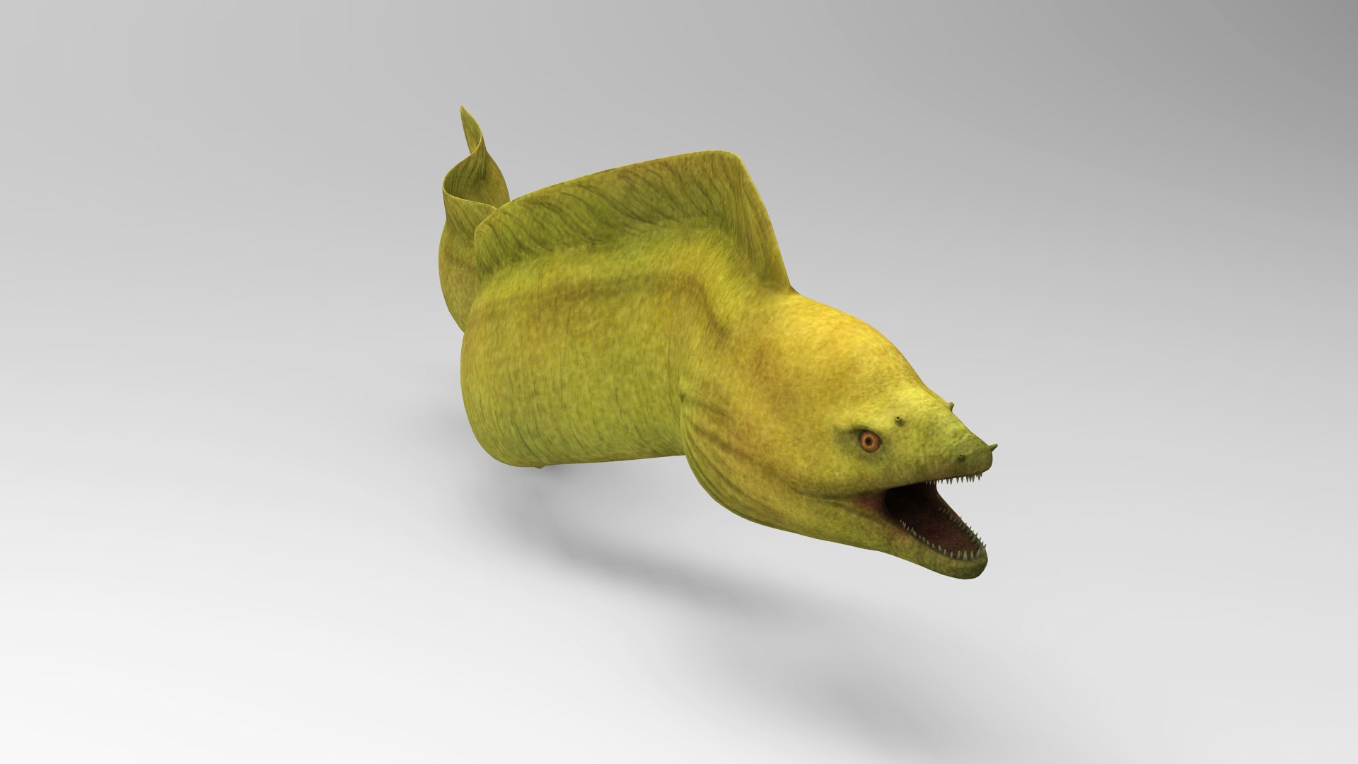 3d Eel Green Model