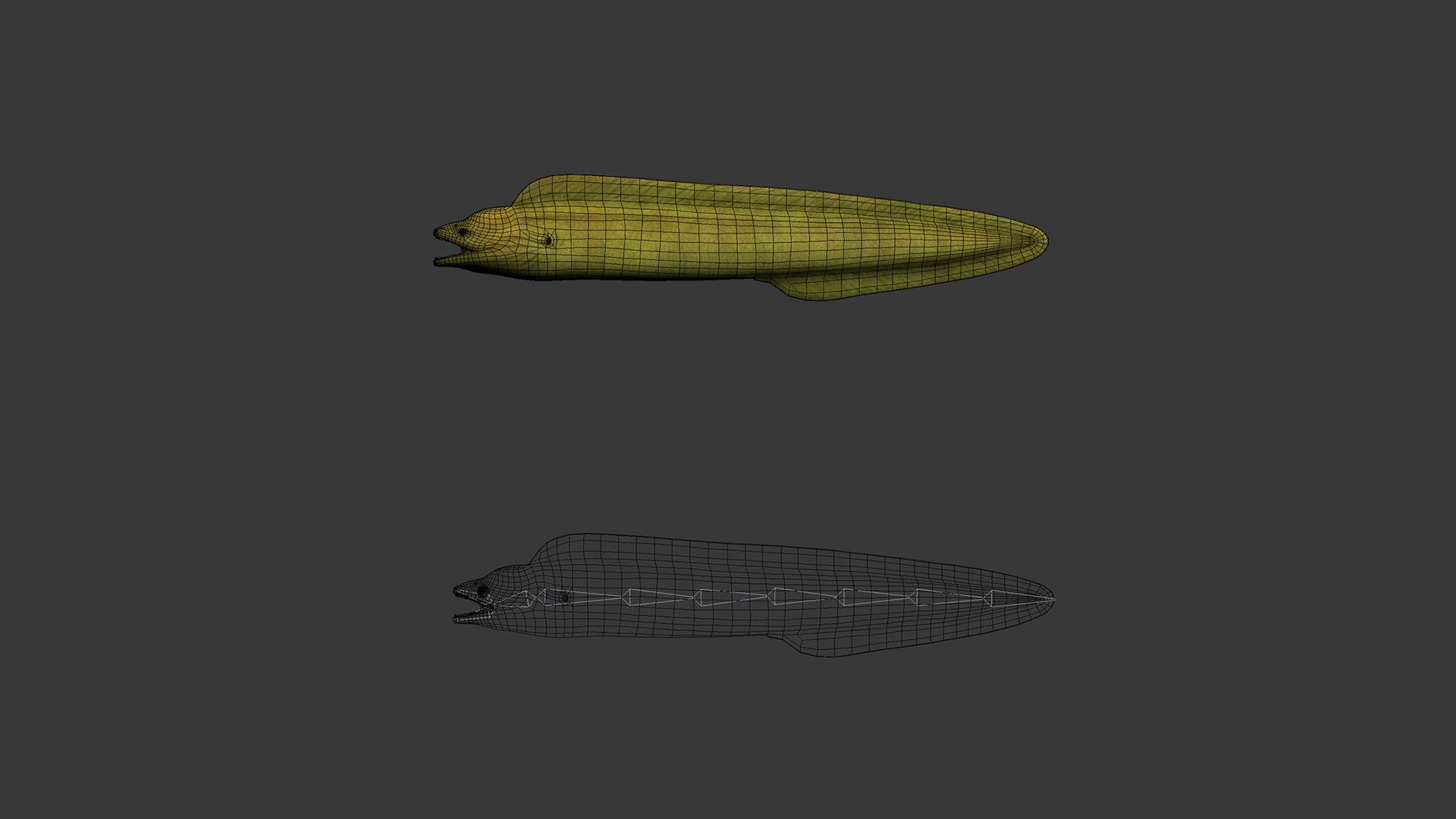 3d Eel Green Model