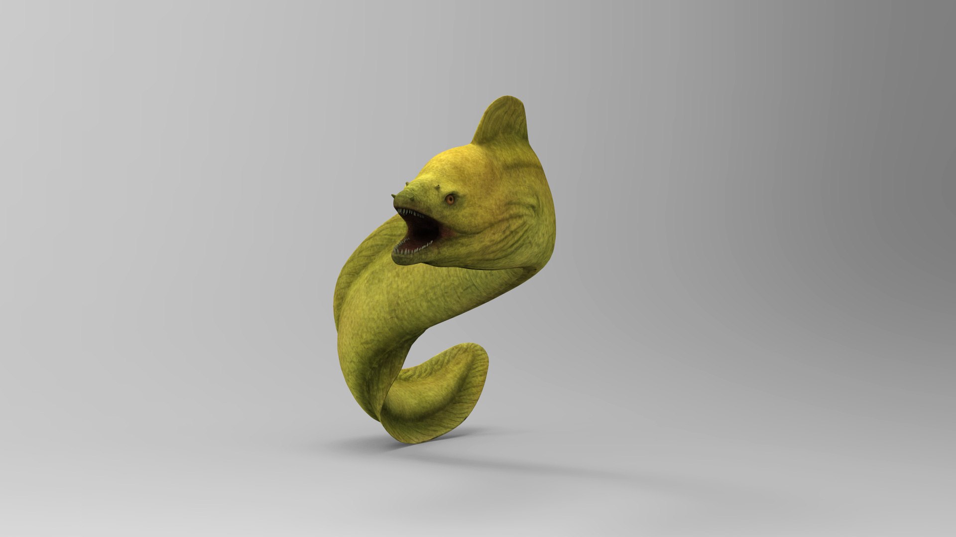 3d Eel Green Model