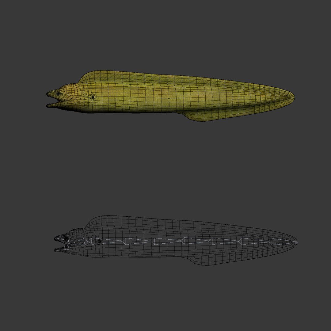 3d eel green model