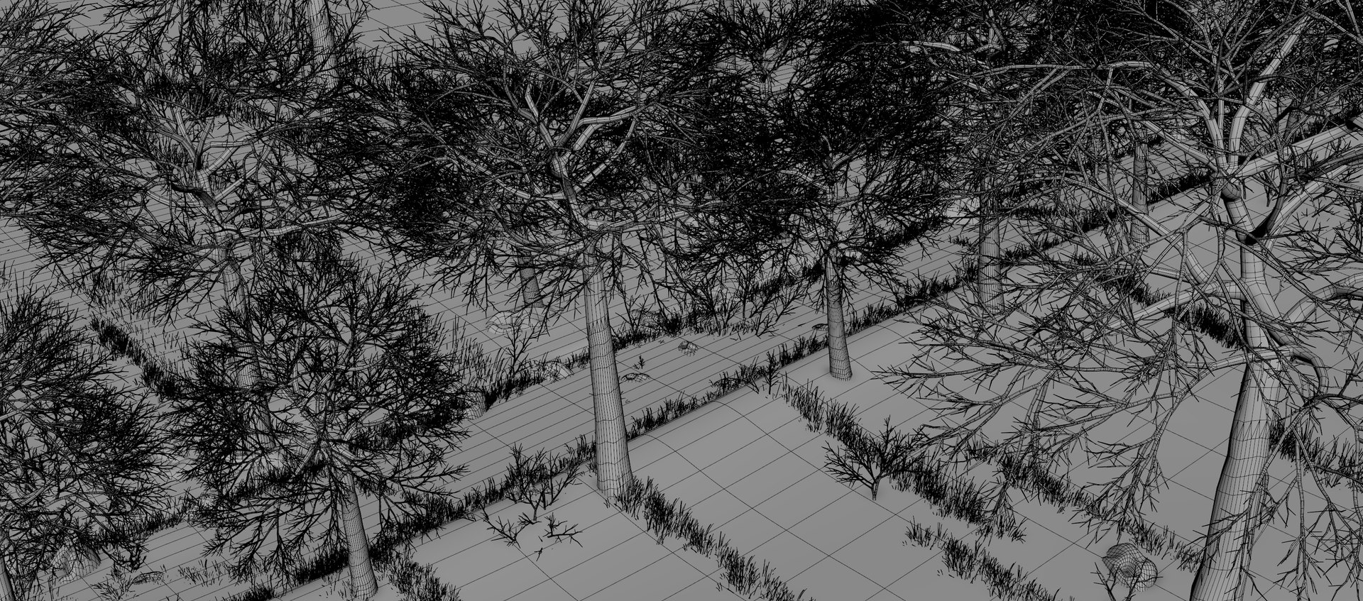 Forest Sunset Path 3D - TurboSquid 1503993