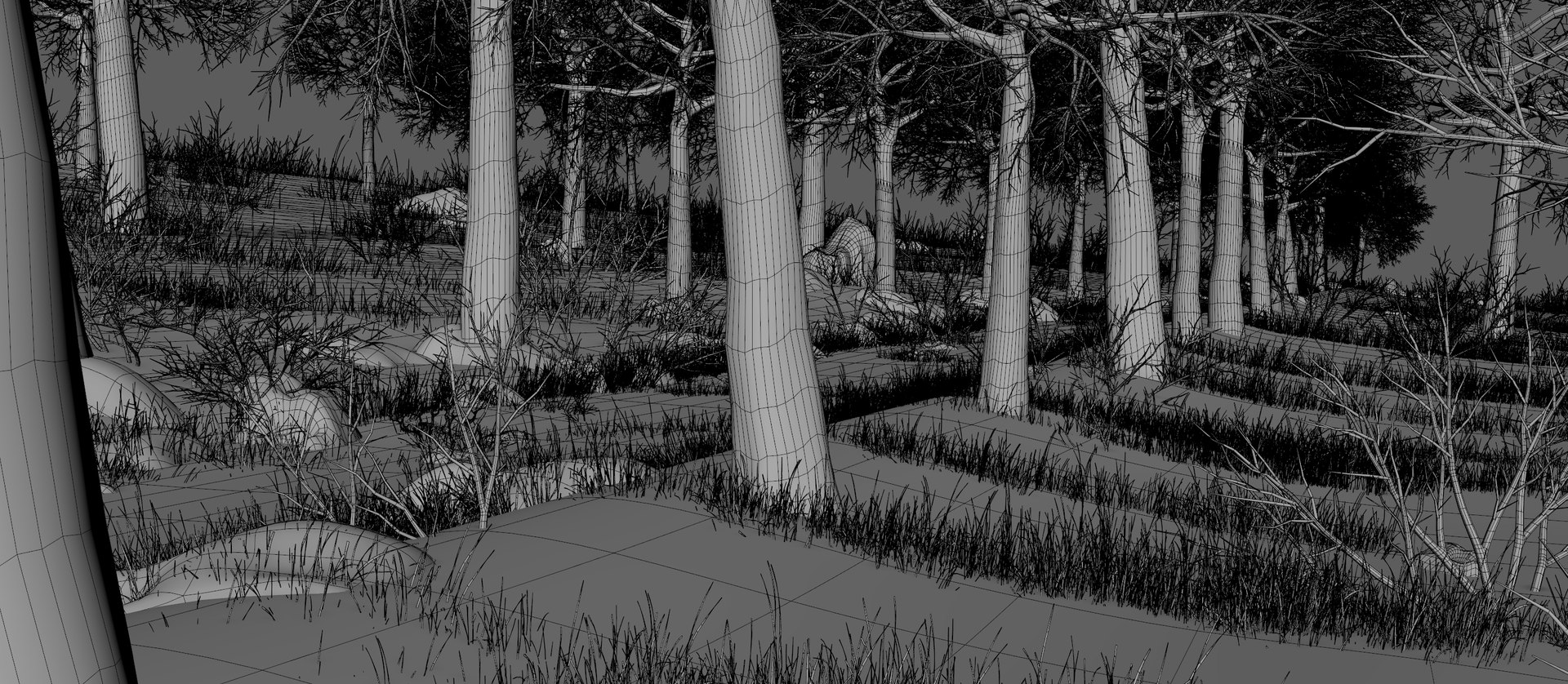 Forest Sunset Path 3D - TurboSquid 1503993