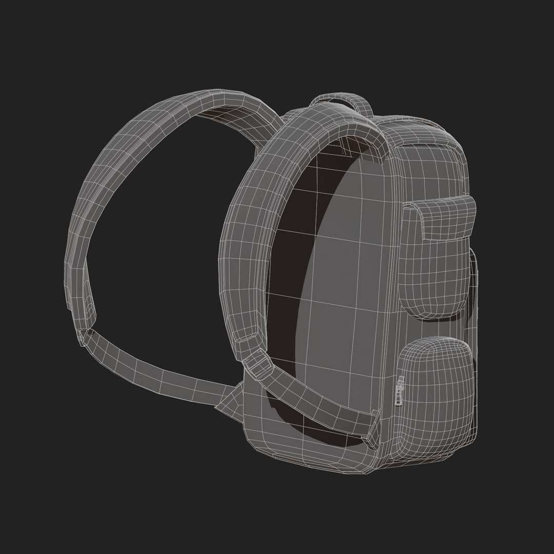 3D Bag Model - TurboSquid 1563332
