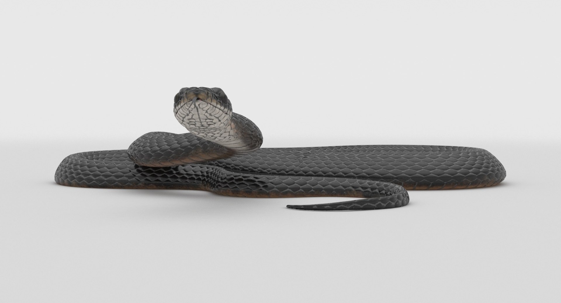 Black snake 3D model - TurboSquid 1235257