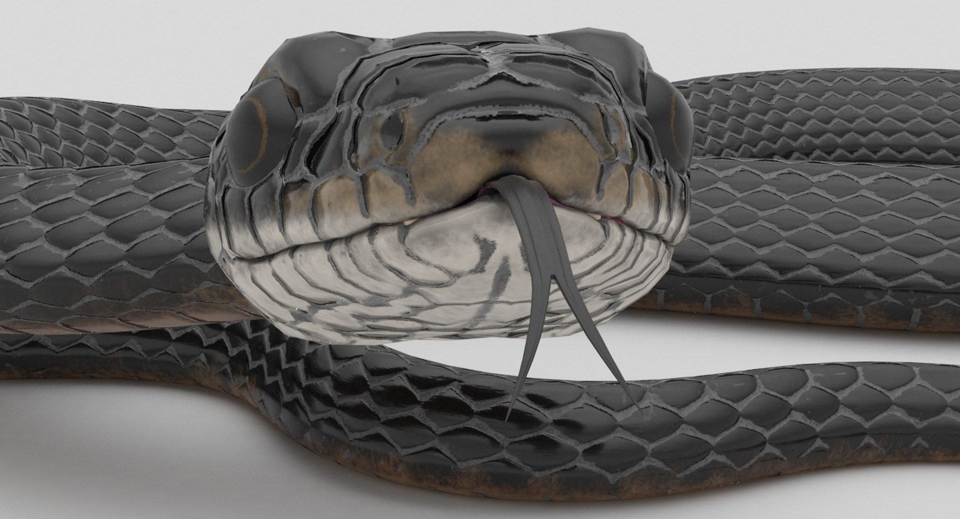 Black snake 3D model - TurboSquid 1235257