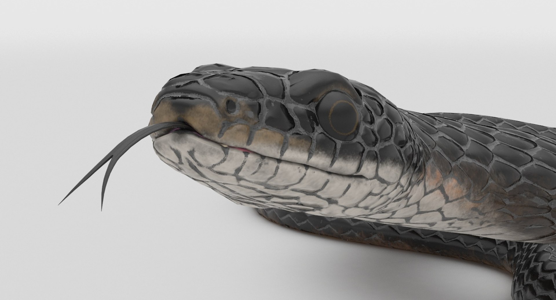 Black snake 3D model - TurboSquid 1235257