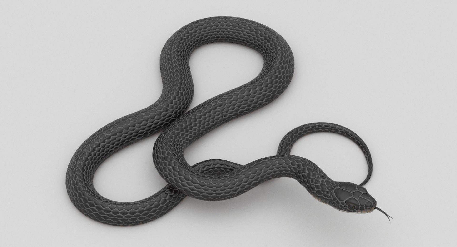 Black snake 3D model - TurboSquid 1235257