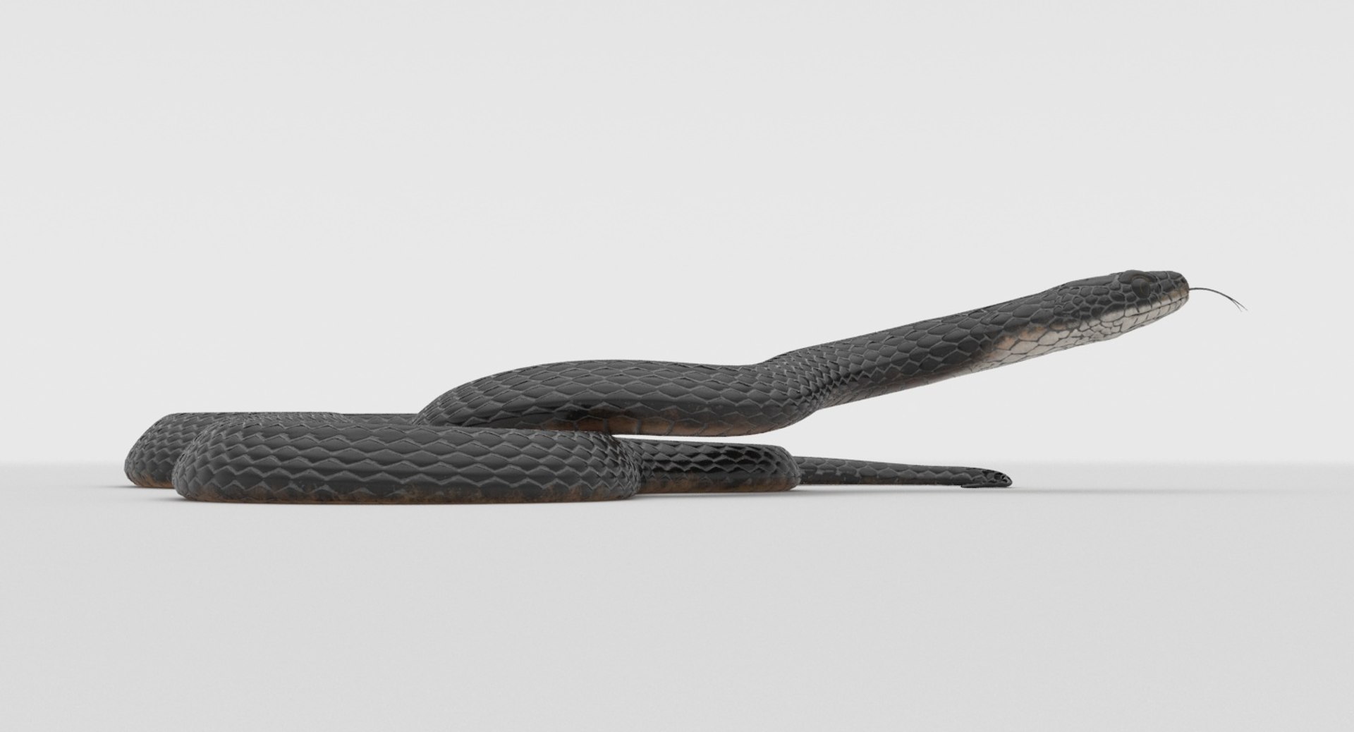 Black snake 3D model - TurboSquid 1235257