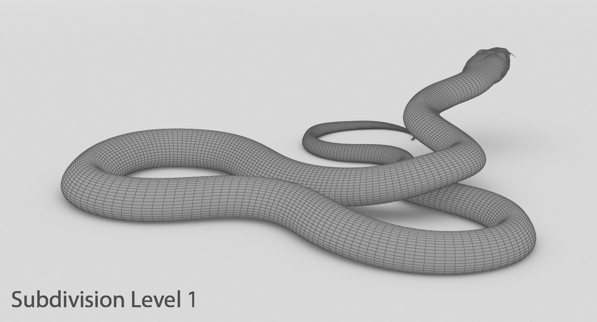Black snake 3D model - TurboSquid 1235257