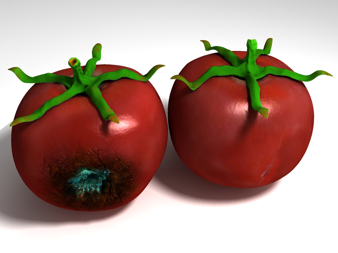 3d decayed rotten tomato stalk