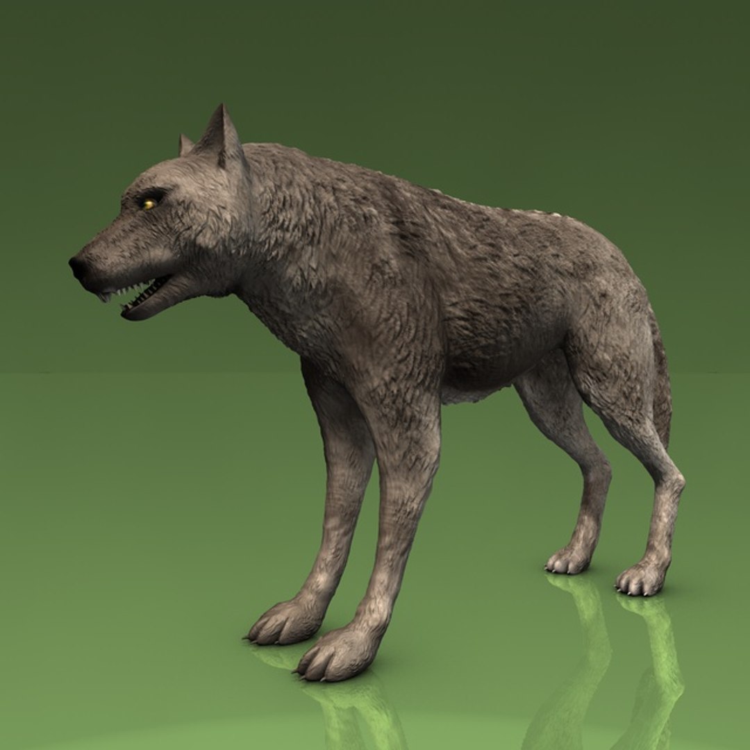 3d grey wolf