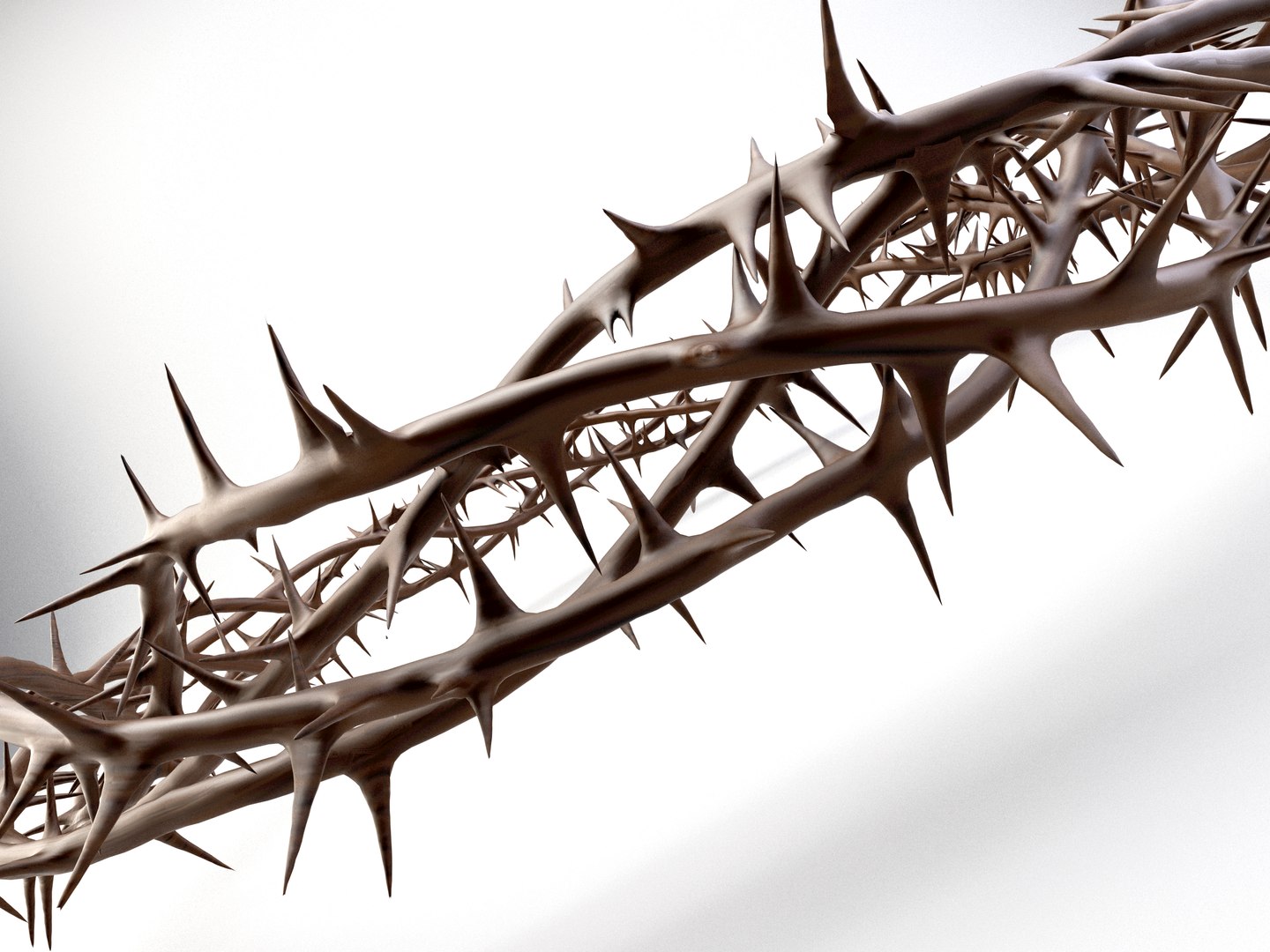 Crown Of Thorns 1 Model - TurboSquid 2003486