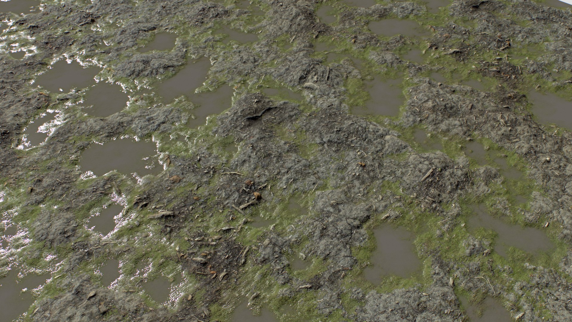 3D Ground Terrain Rough Forest PBR Pack 2 - TurboSquid 2422830