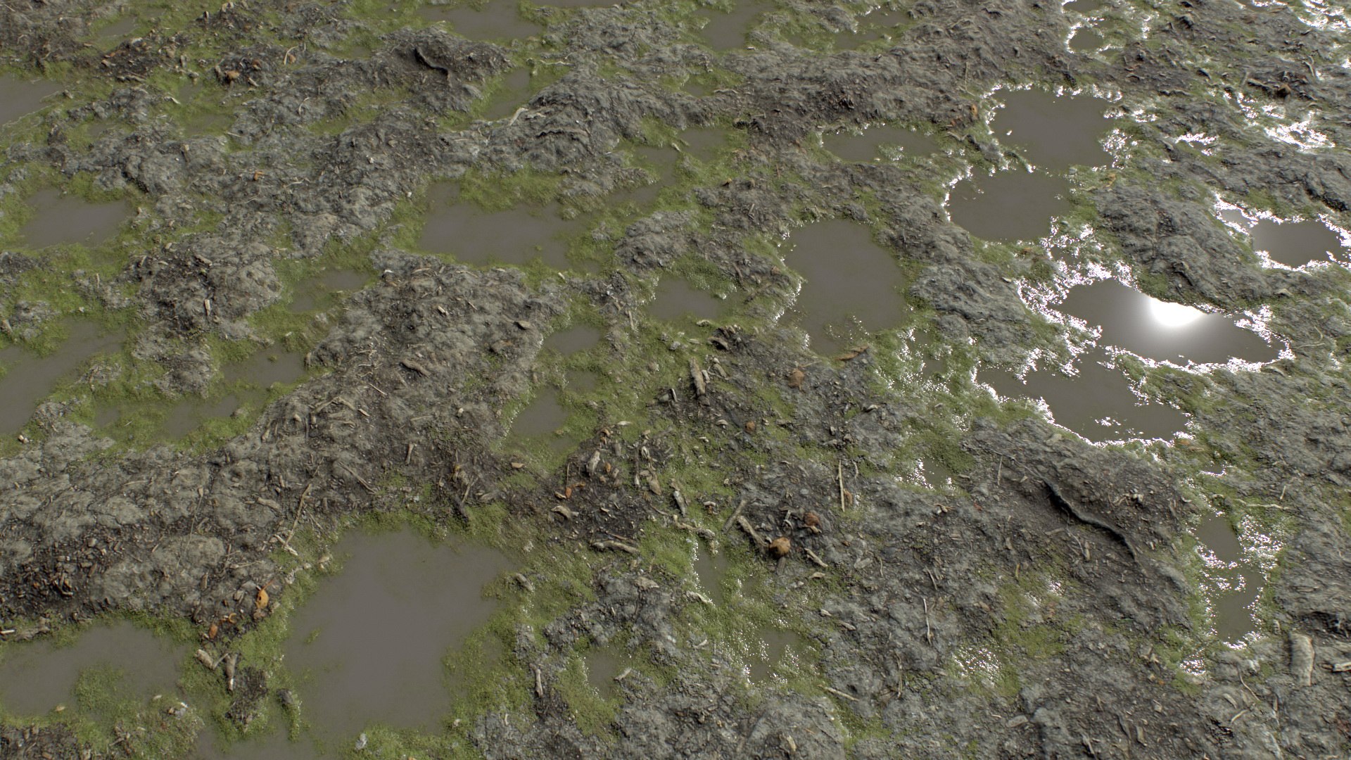 3D Ground Terrain Rough Forest PBR Pack 2 - TurboSquid 2422830
