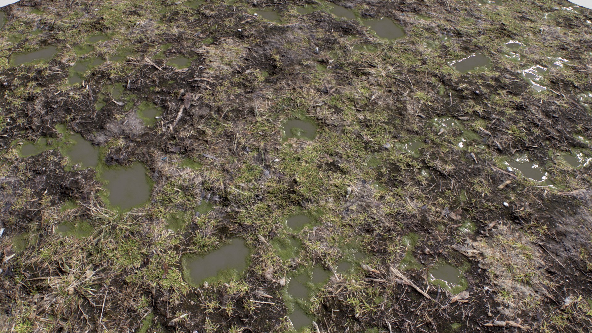 3D Ground Terrain Rough Forest PBR Pack 2 - TurboSquid 2422830