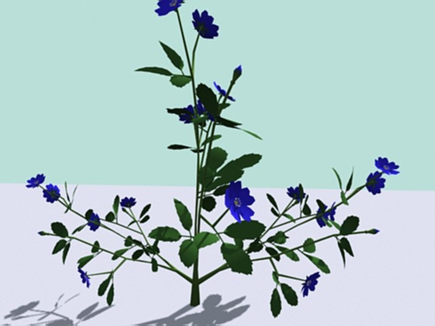 3d plant flower model