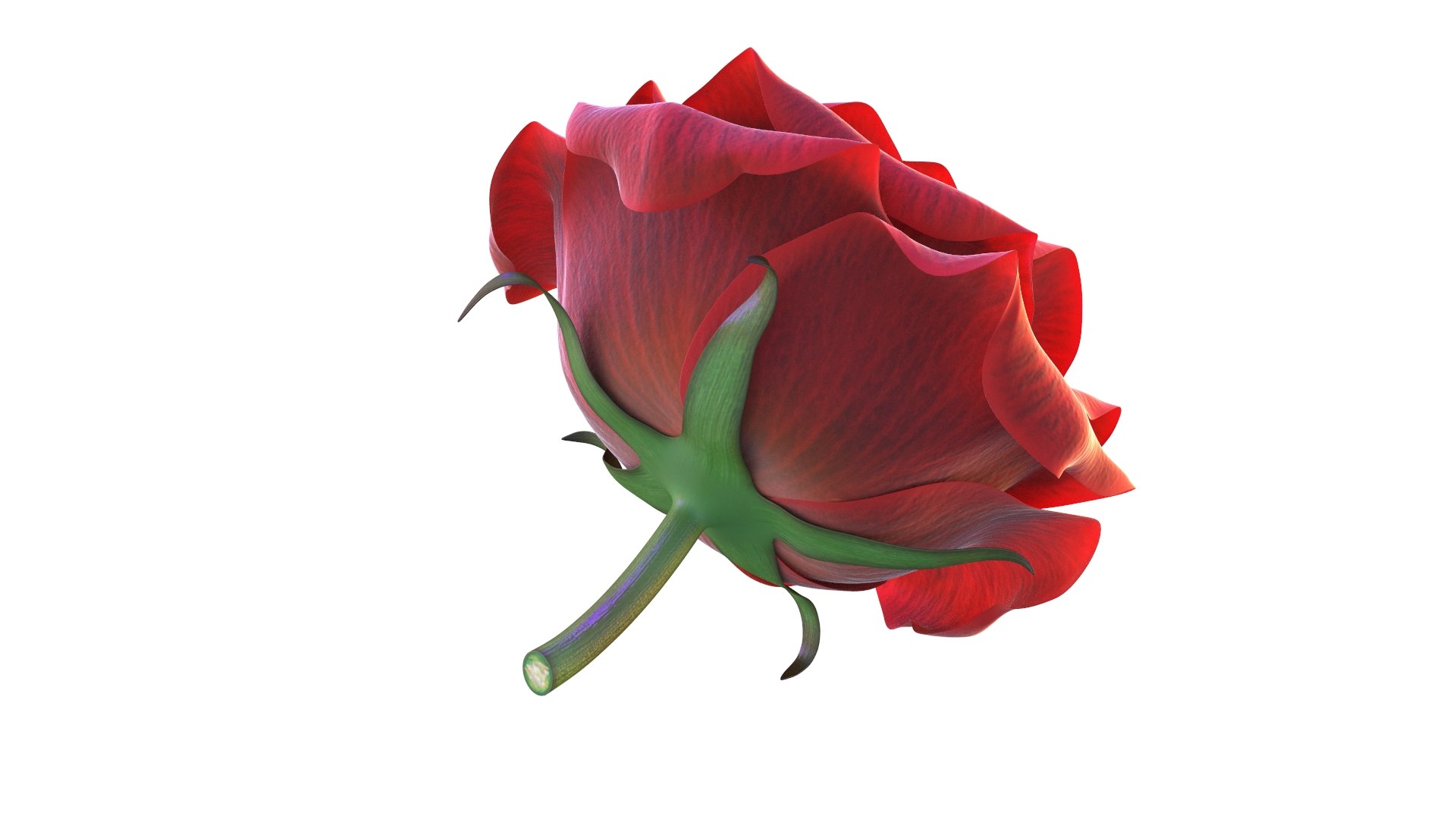 Realistic Rose 3D Model - High-Quality 4K PBR Asset 3D Model ...