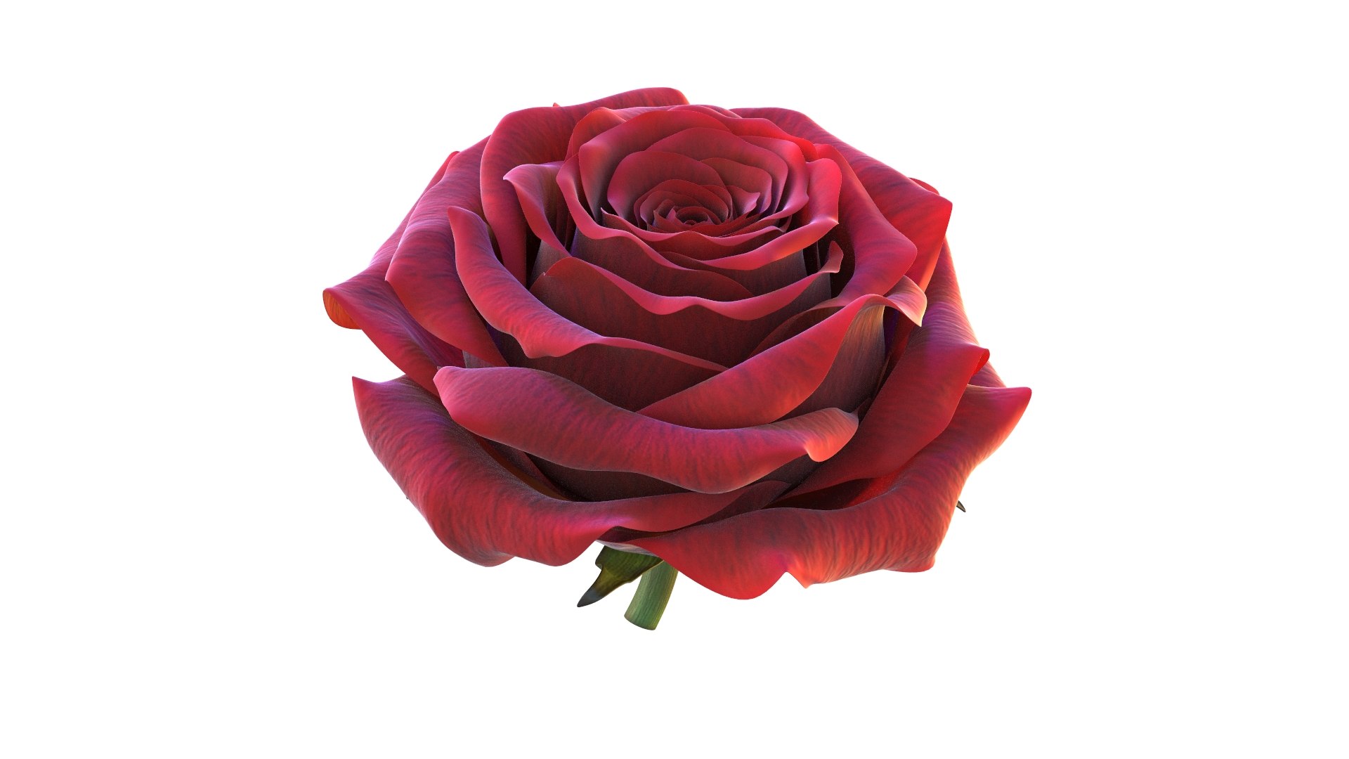 Realistic Rose 3D Model - High-Quality 4K PBR Asset 3D Model ...